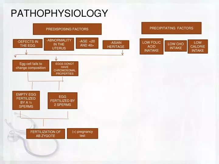 PPT - PATHOPHYSIOLOGY PowerPoint Presentation, free download - ID:6904449