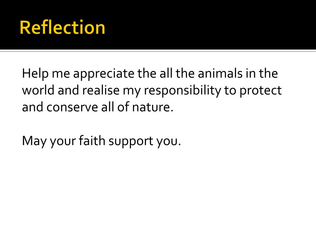 PPT - World Animal Day Do all animals have souls? PowerPoint ...