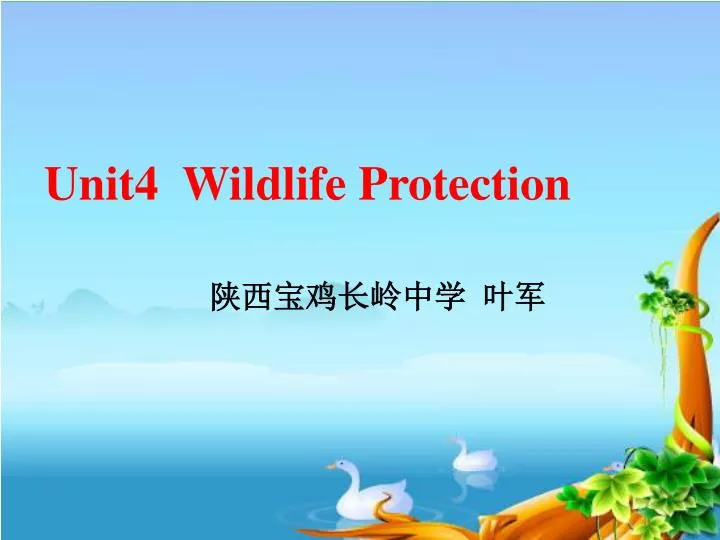 PPT - Unit4 Wildlife Protection 陕西宝鸡长岭中学 叶军 PowerPoint Presentation - ID:6906046