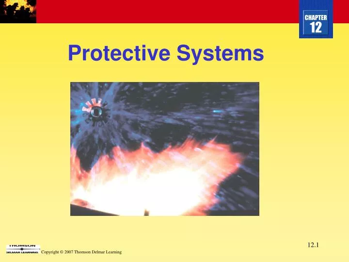 PPT - Protective Systems PowerPoint Presentation, free download - ID ...