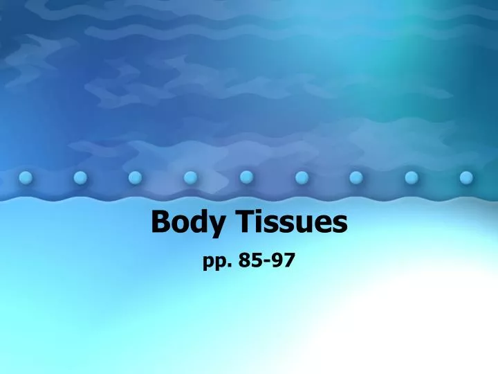 PPT - Body Tissues PowerPoint Presentation, free download - ID:6906395