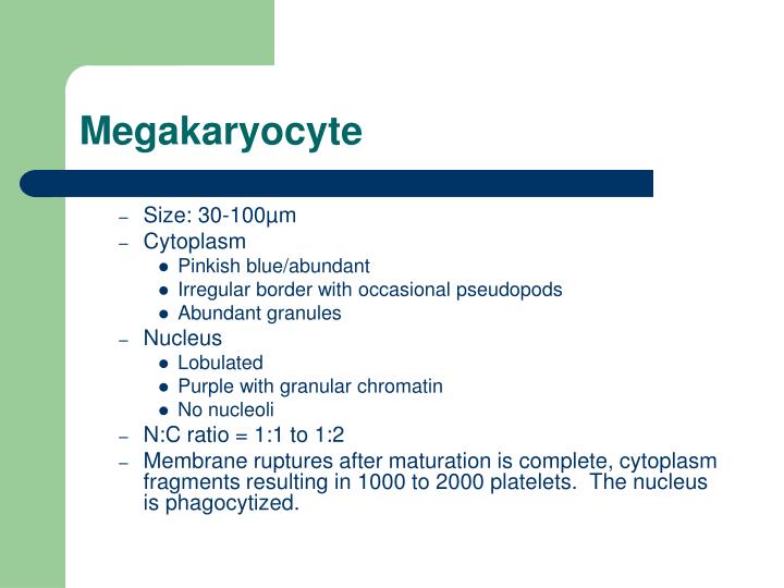 PPT - MLAB1415- Hematology Keri Brophy-Martinez PowerPoint Presentation ...