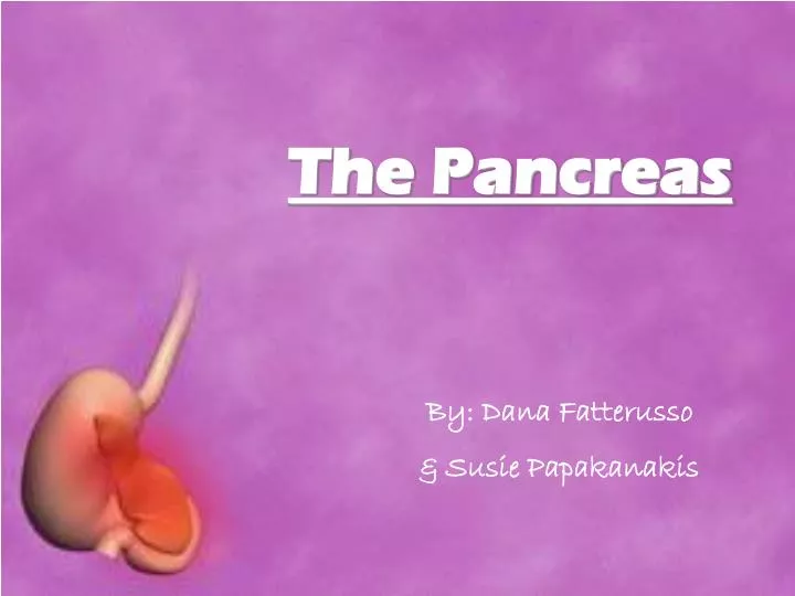 PPT - The Pancreas PowerPoint Presentation, free download - ID:6906735