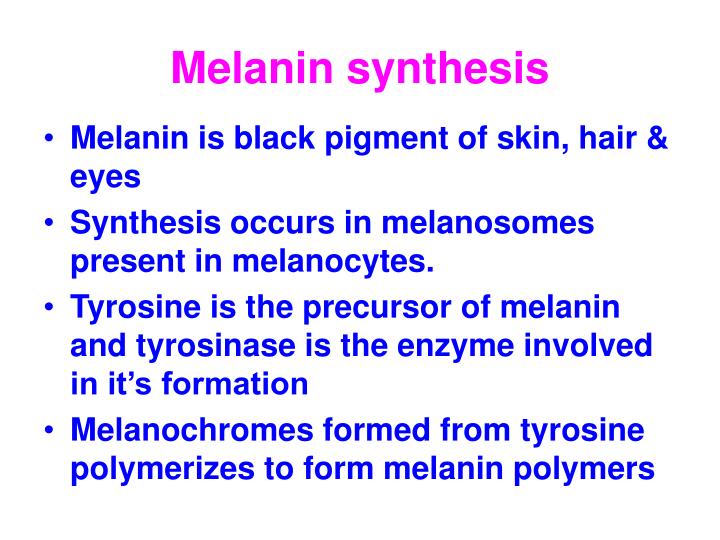 PPT - Melanin synthesis PowerPoint Presentation - ID:6906978