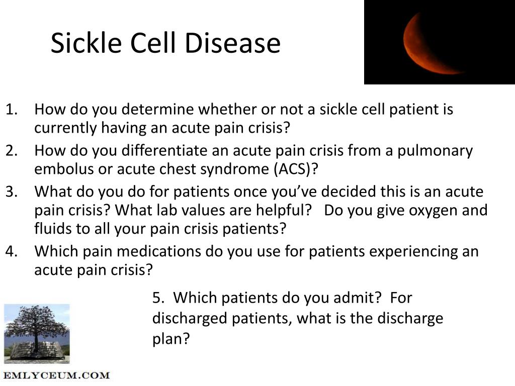 Ppt Sickle Cell Disease Powerpoint Presentation Free Download Id6907086