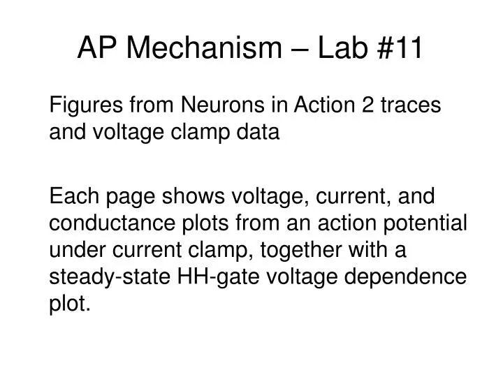 PPT - AP Mechanism – Lab #11 PowerPoint Presentation, free download ...