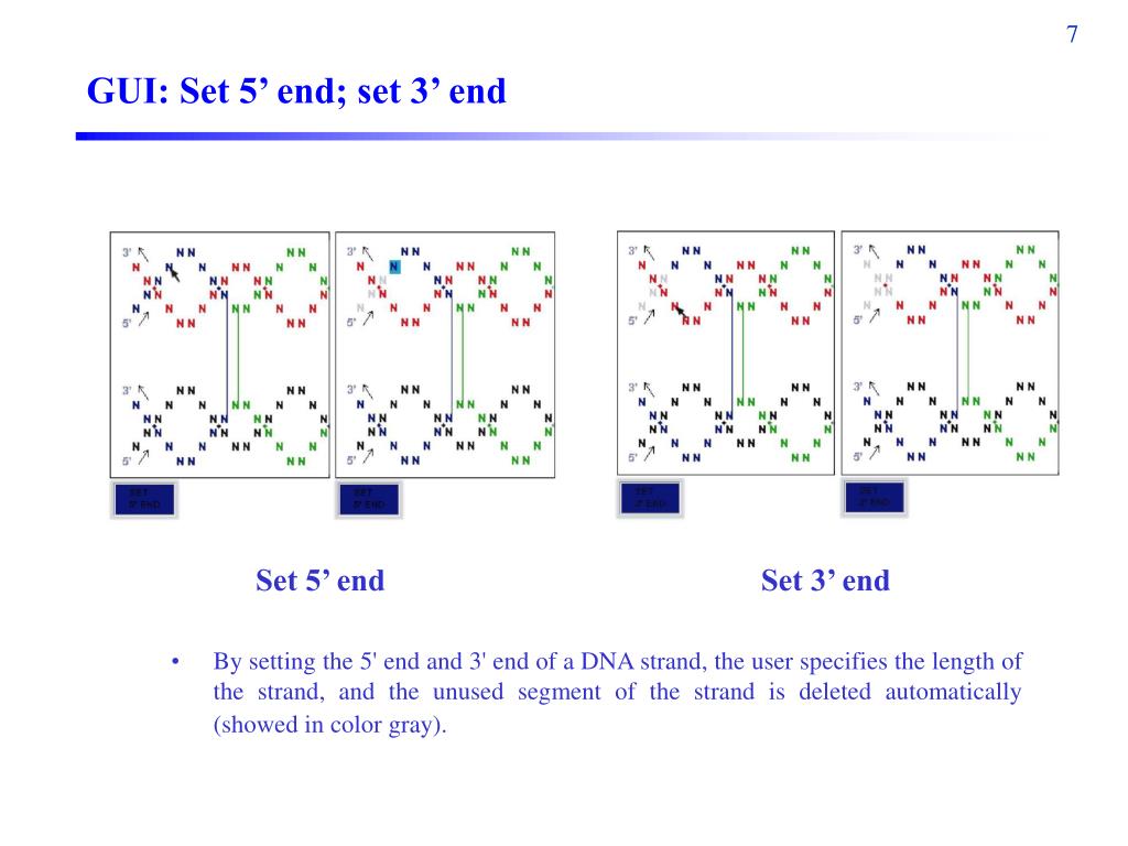 Ppt Tilesoft Sequence Optimization Software For Designing Dna