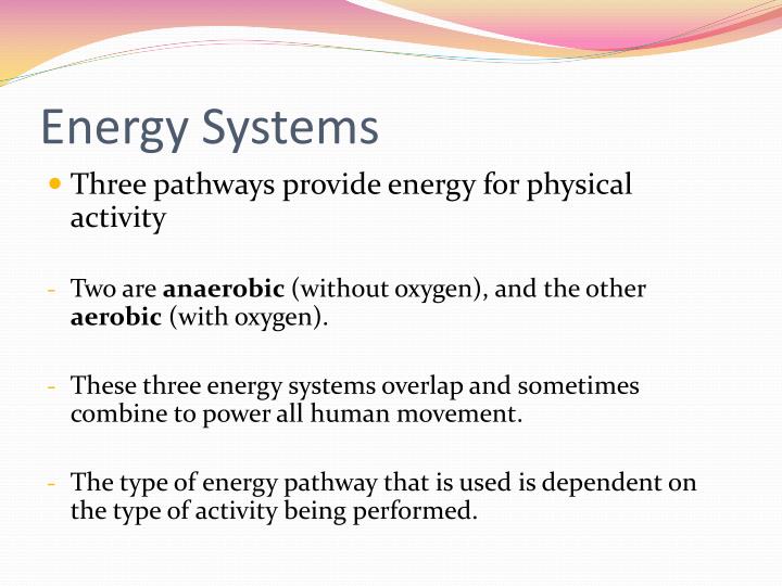 PPT - Physiological Responses to Exercise PowerPoint Presentation - ID ...