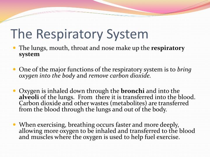 PPT - Physiological Responses to Exercise PowerPoint Presentation - ID ...