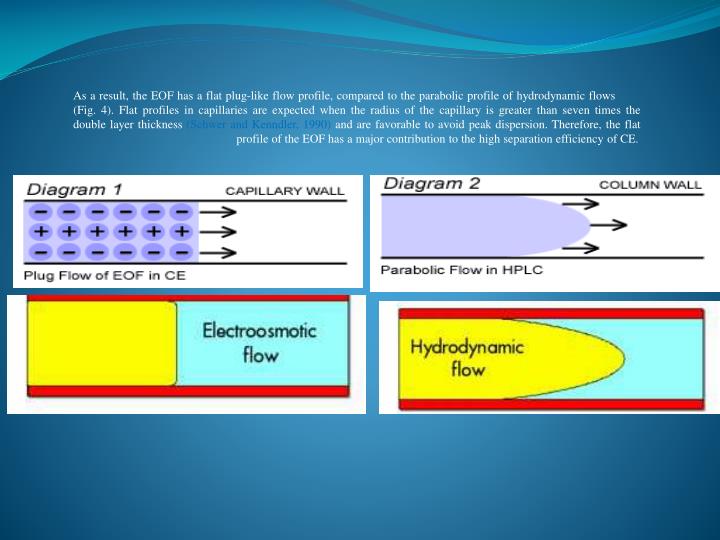 PPT - Capillary Electrophoresis PowerPoint Presentation - ID:6909237
