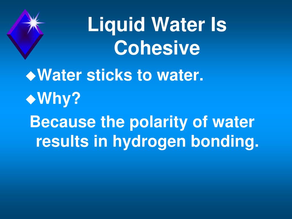 PPT - Should we control a chemical that: PowerPoint Presentation, free ...