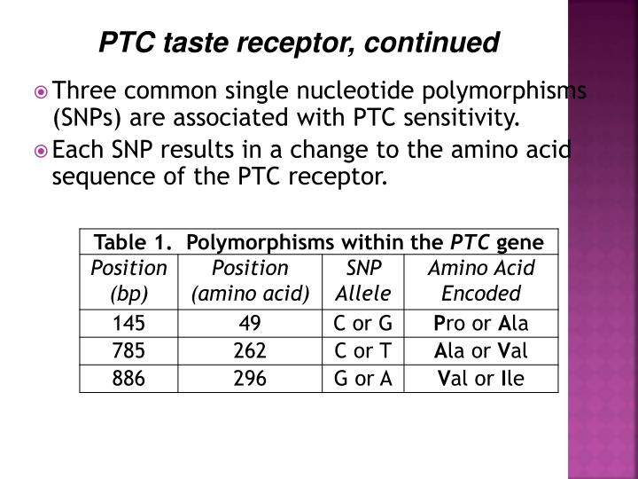PPT - Bitter Taste: Taste Testing (Phenotype) and PCR (Genotype ...