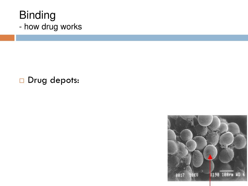 PPT - Chapter 1: Principles of Pharmacology Psychopharmacology ...