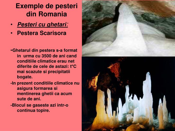 PPT - ECOSISTEMUL UNEI PESTERI PowerPoint Presentation - ID:6911901