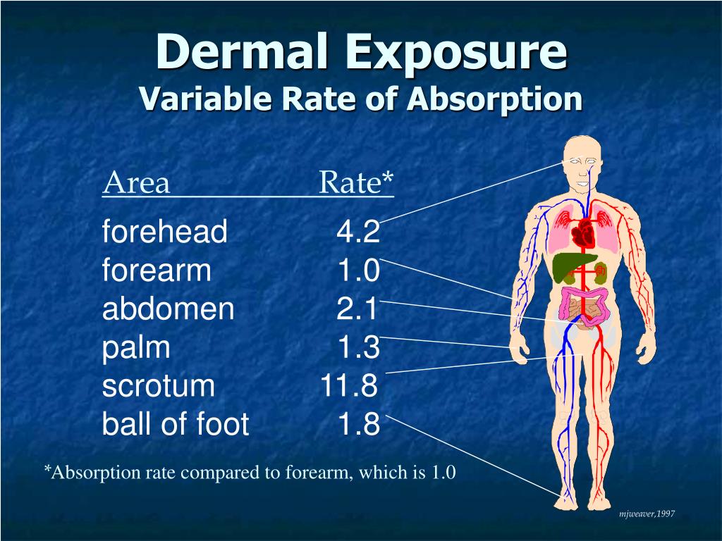 PPT - Pesticide Safety & Toxicology PowerPoint Presentation, free ...