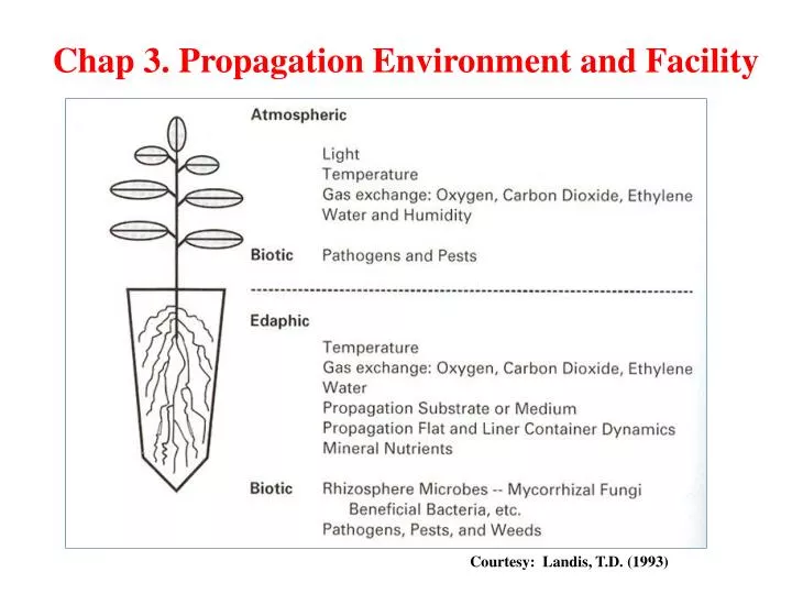 PPT - Chap 3. Propagation Environment and Facility PowerPoint ...