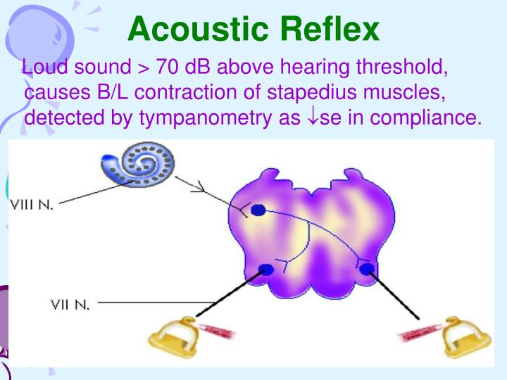 PPT - Audiometry PowerPoint Presentation - ID:6912897