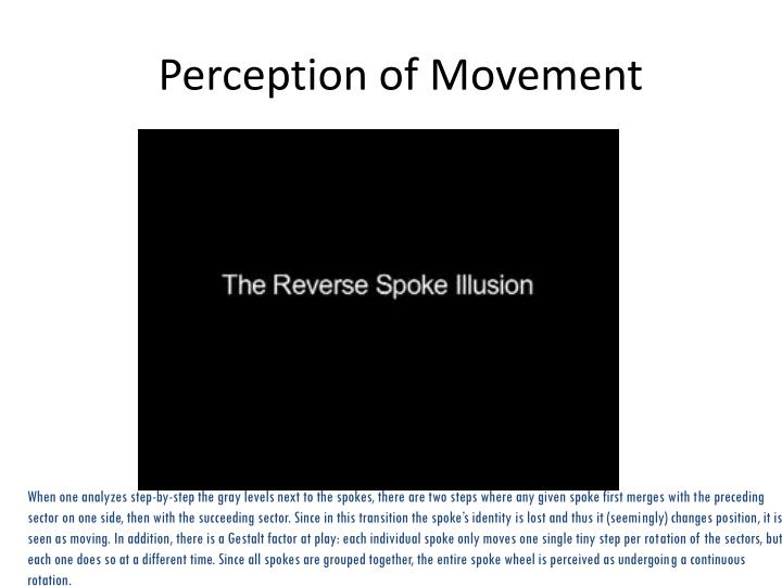 PPT - Sensation and Perception PowerPoint Presentation - ID:6913237