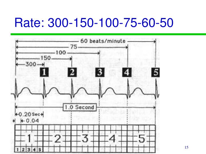 PPT - Lab Activity 24 PowerPoint Presentation - ID:6914050