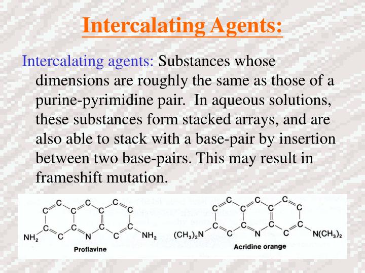 PPT - DNA Mutation and Repair PowerPoint Presentation - ID:6914380