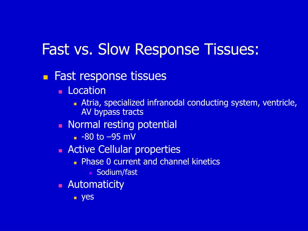 PPT - Drugs used in the Treatment of Cardiac Arrhythmias PowerPoint ...