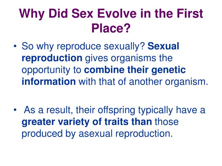 Ppt Meiosis Powerpoint Presentation Id 6916660