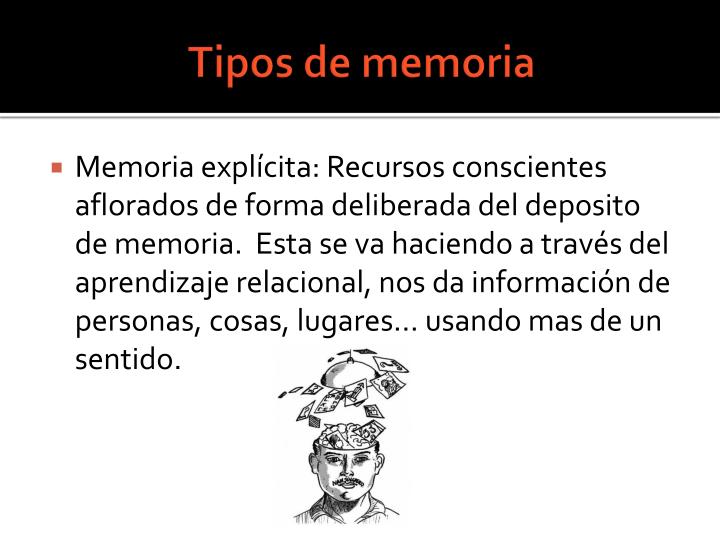 PPT - Bases neurológicas de la memoria PowerPoint Presentation - ID:6917374