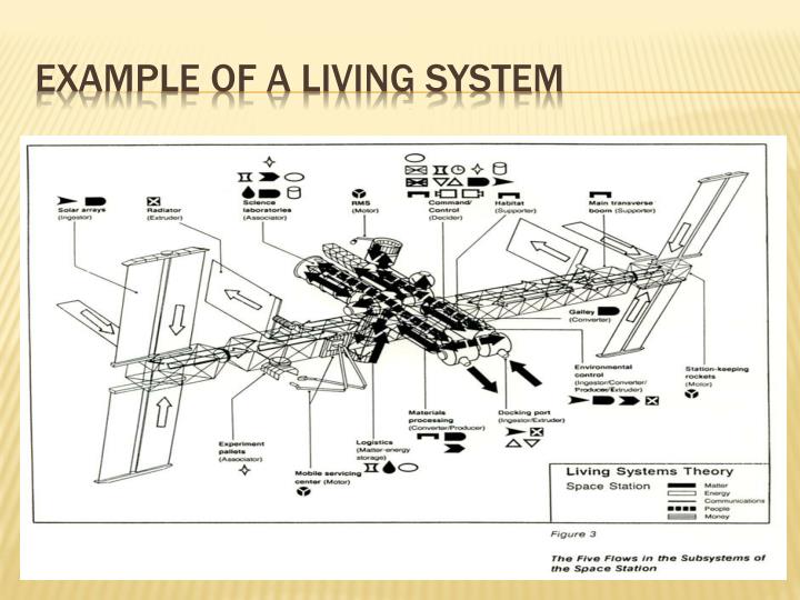 PPT - CSC551 Systems Theory Living Systems Theory PowerPoint ...