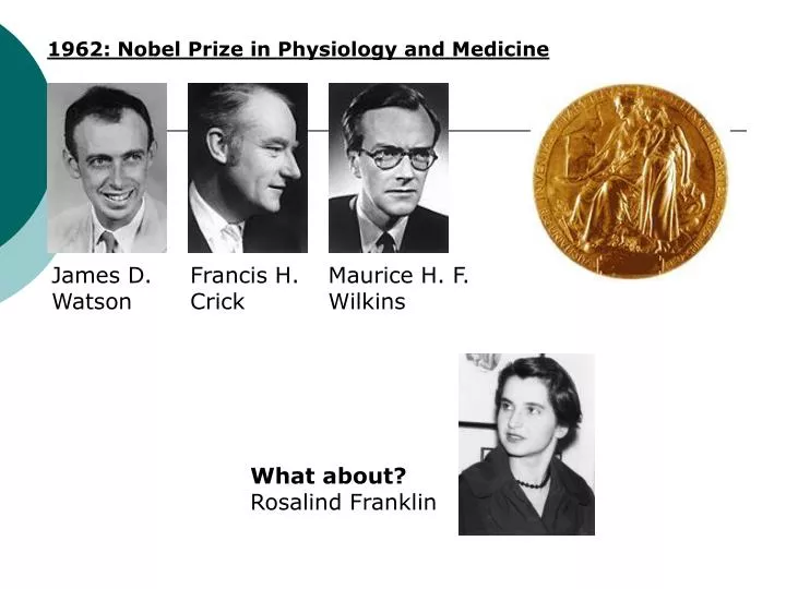 PPT - 1962: Nobel Prize in Physiology and Medicine PowerPoint ...