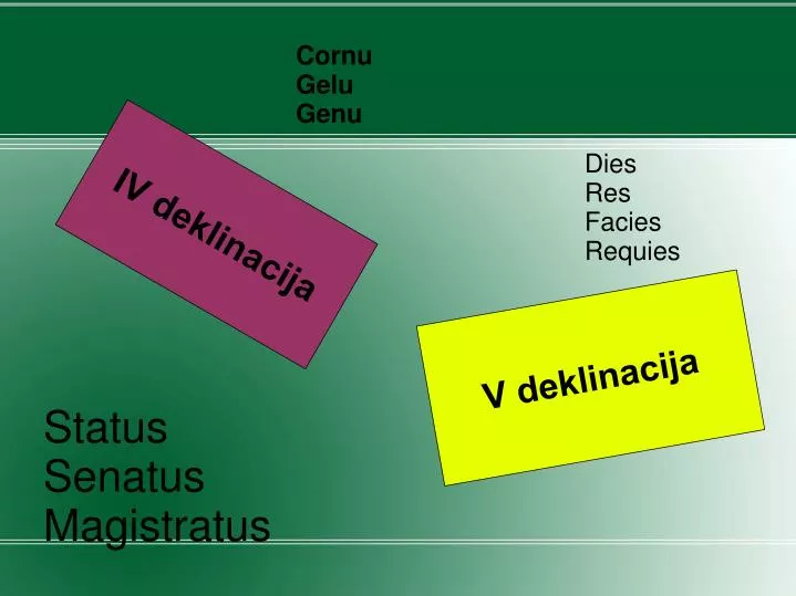 PPT - IV deklinacija PowerPoint Presentation, free download - ID:6921813