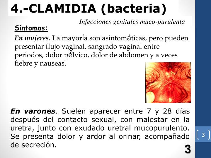 PPT - 4.-CLAMIDIA (bacteria) PowerPoint Presentation - ID:6923126