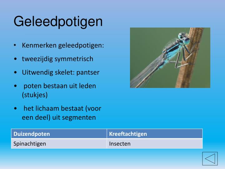 PPT - Ordening PowerPoint Presentation - ID:6923254
