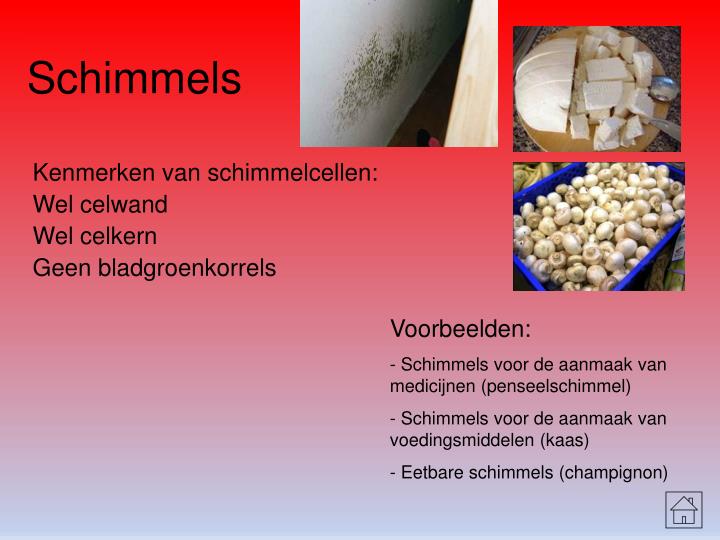 PPT - Ordening PowerPoint Presentation - ID:6923254