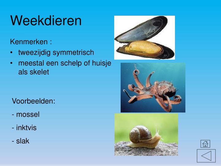 PPT - Ordening PowerPoint Presentation - ID:6923254