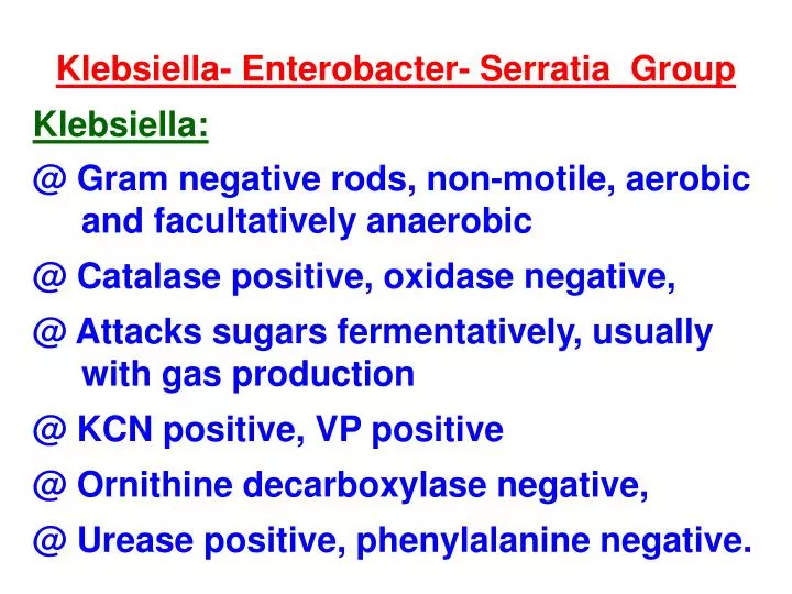 PPT - Klebsiella- Enterobacter- Serratia Group Klebsiella: @ Gram ...