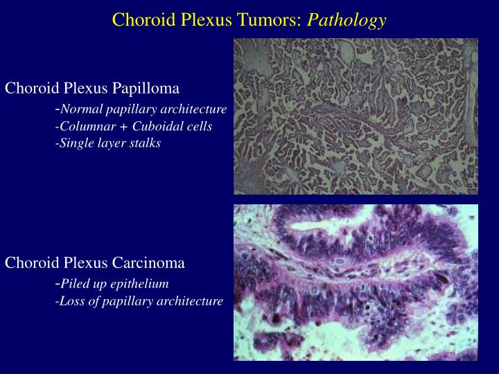 PPT - Patient Case Presentation PowerPoint Presentation - ID:6925473