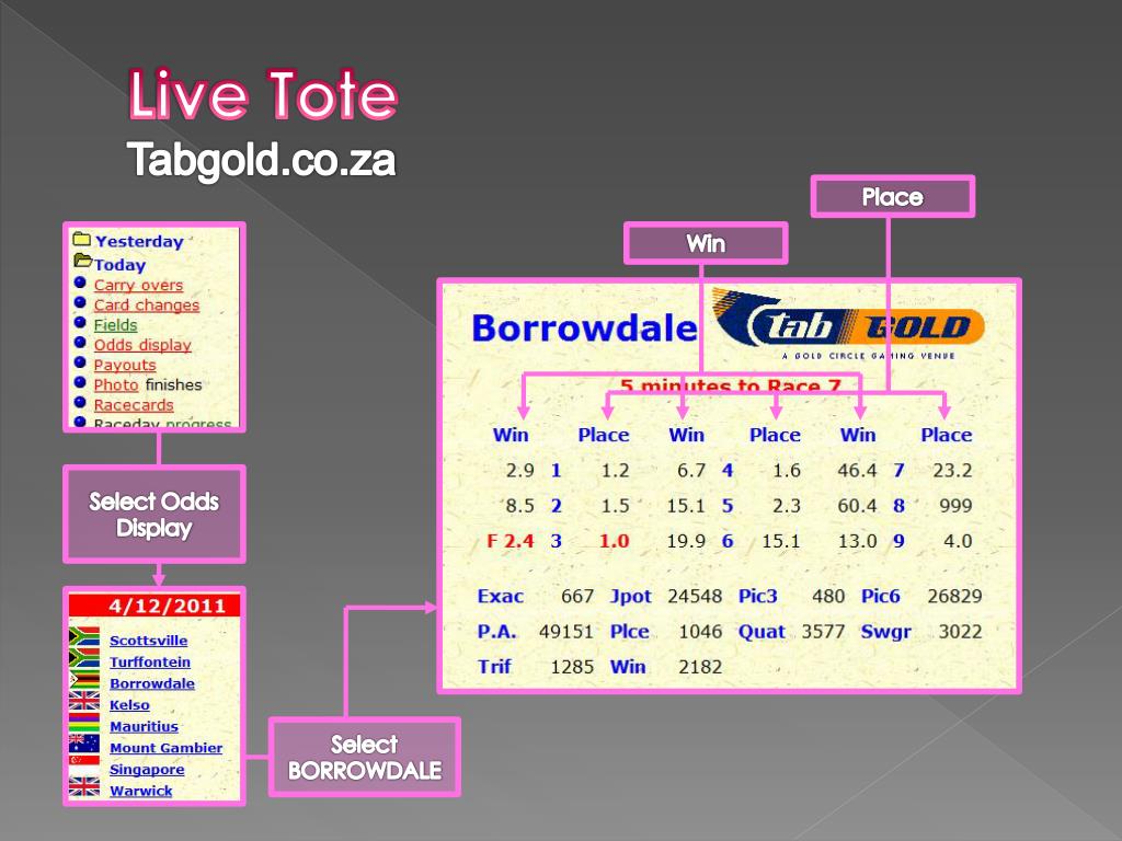 PPT - Zimbabwe Horse Race PowerPoint Presentation, free download - ID ...