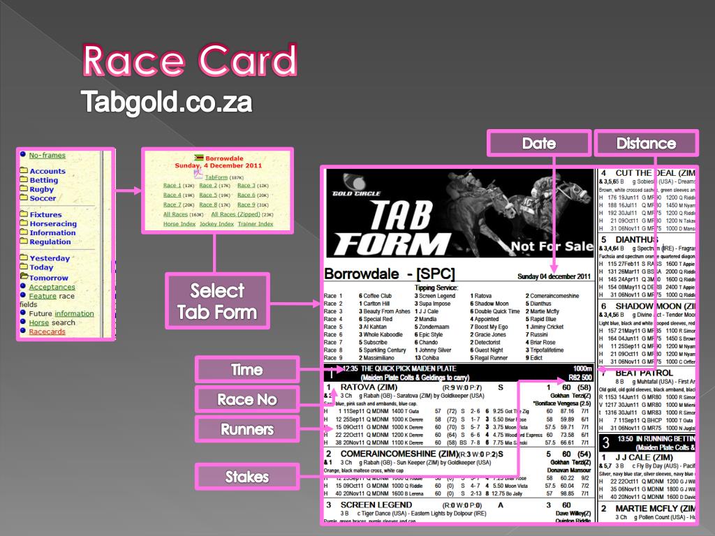 PPT - Zimbabwe Horse Race PowerPoint Presentation, free download - ID ...