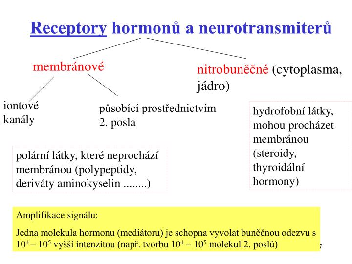PPT - Hormony, neurotransmitery. Obecné mechanismy účinku. PowerPoint ...