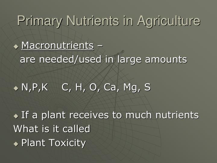 PPT - Plant Nutrition PowerPoint Presentation - ID:6929942