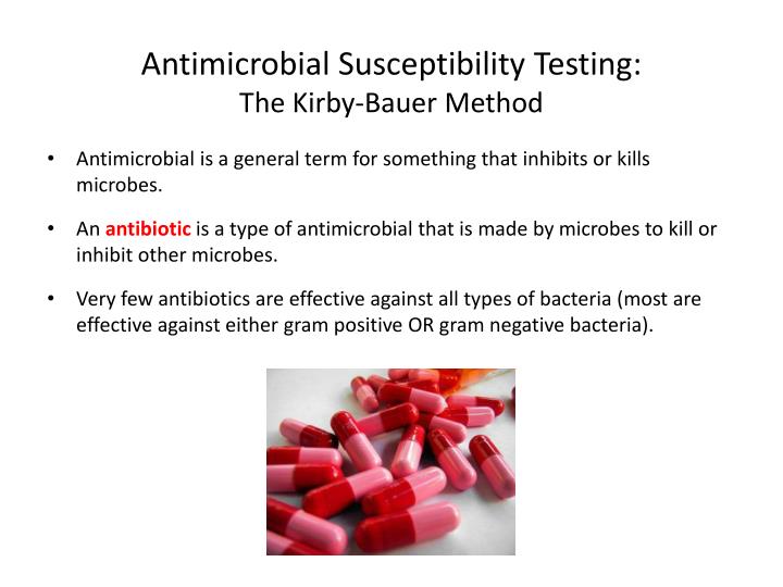PPT - Lab 8: Approach to Identification - API System and Antimicrobial ...