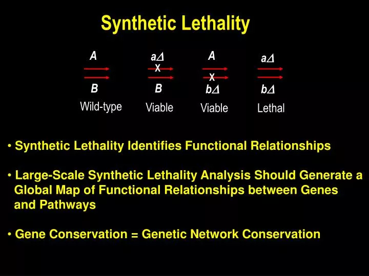 PPT - Synthetic Lethality PowerPoint Presentation, free download - ID ...