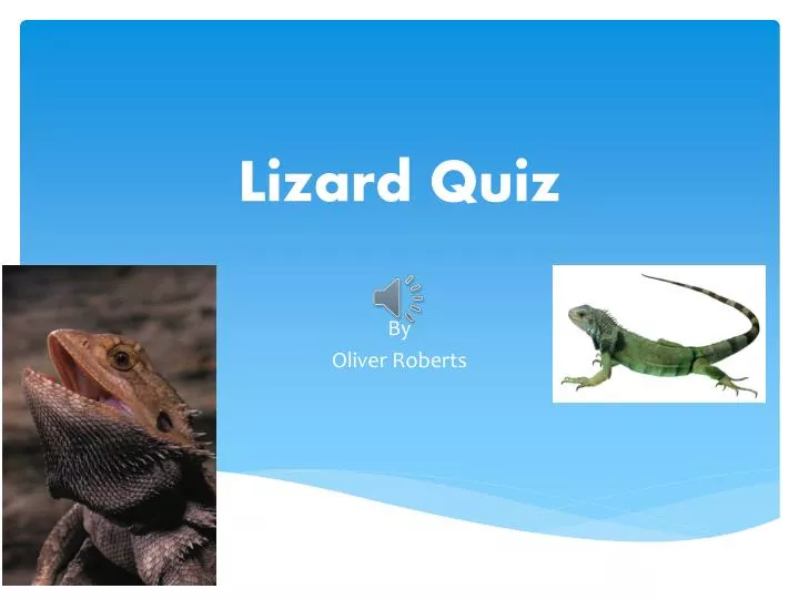 PPT - Lizard Quiz PowerPoint Presentation, free download - ID:6932960