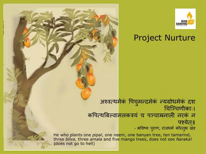 PPT - Project Nurture PowerPoint Presentation, free download - ID:6934998