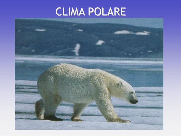 PPT - I Biomi PowerPoint Presentation - ID:6936439