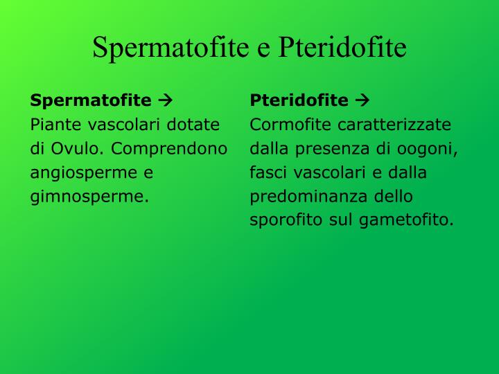PPT - Piante PowerPoint Presentation - ID:6936459