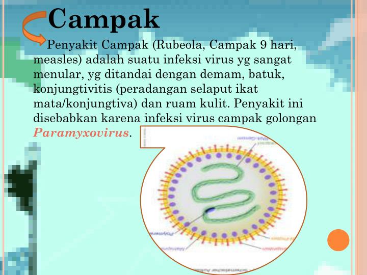 PPT - CAMPAK PowerPoint Presentation - ID:6938093