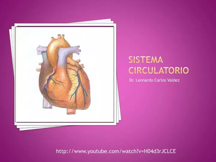 PPT - Sistema circulatorio PowerPoint Presentation, free download - ID ...