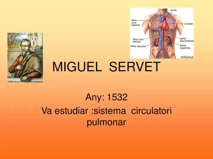 PPT - MIGUEL SERVET PowerPoint Presentation, free download - ID:6942275