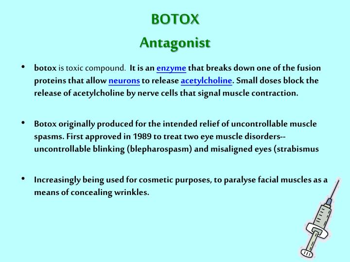 PPT - Neuroscience and Behavior Chapter 2 PowerPoint Presentation - ID ...